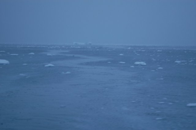 slushy trail – Tagging Whales in the Antarctic Seas