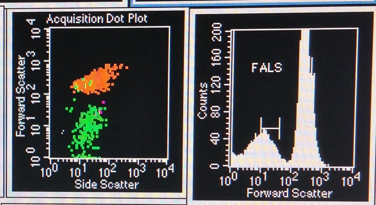 Does algae diversity help algae biofuel production? – Fuel for Thought